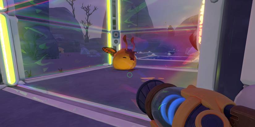 The Best Slime Combos In Slime Rancher
