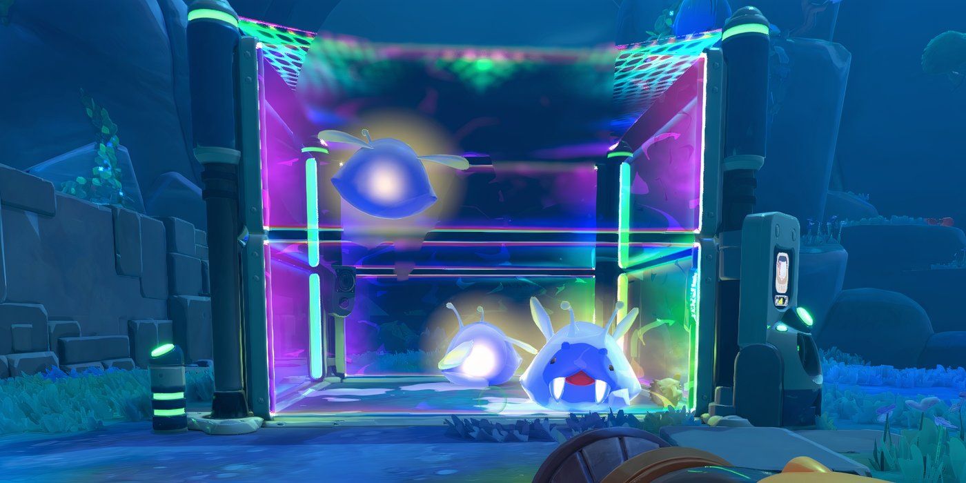 The Best Slime Combos In Slime Rancher