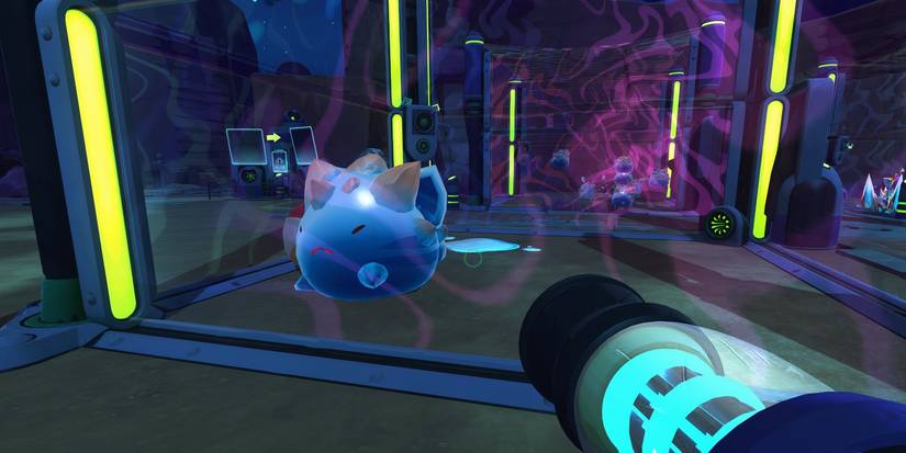 The Best Slime Combos In Slime Rancher