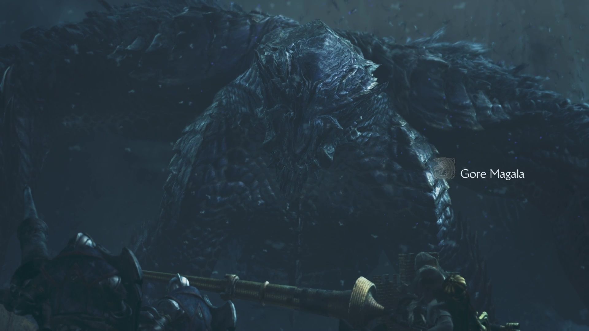 Monster Hunter Wilds - Jin Dahaad Fight