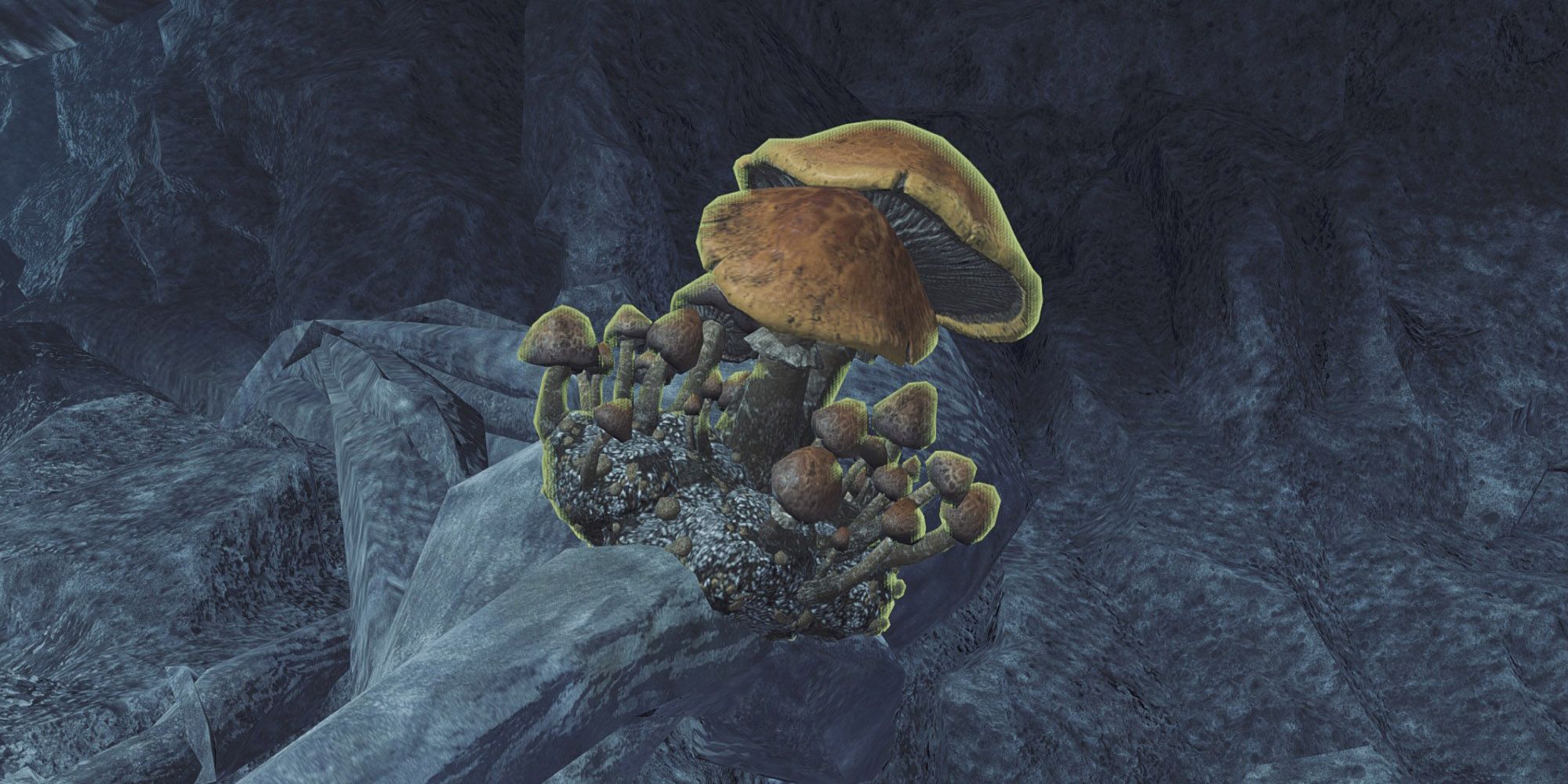 Mandragora Location in Monster Hunter Wilds