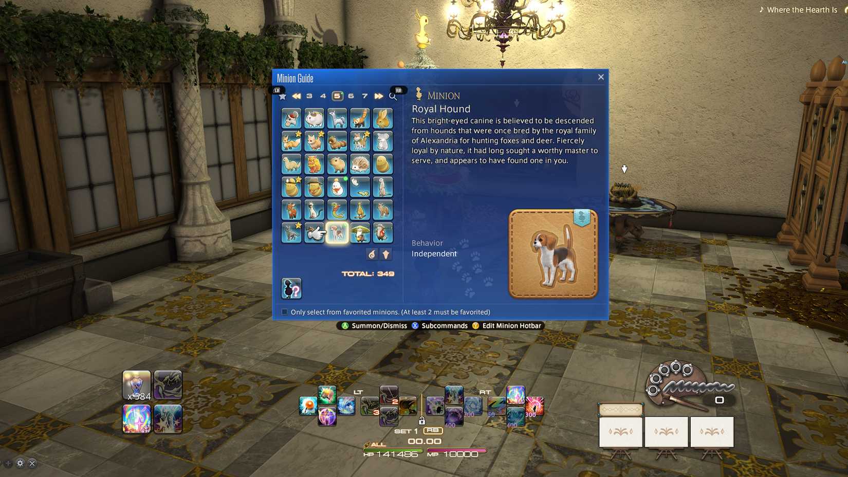 Where to Find the Cute Dog Minion in FFXIV: Dawntrail