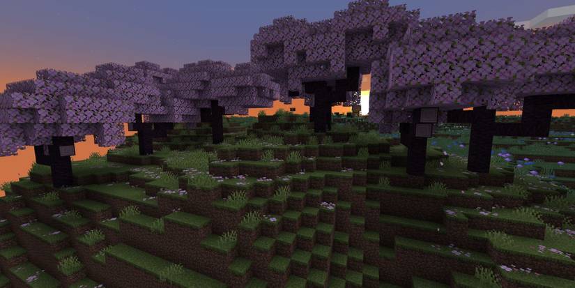 Minecraft: Wood Variant Locations