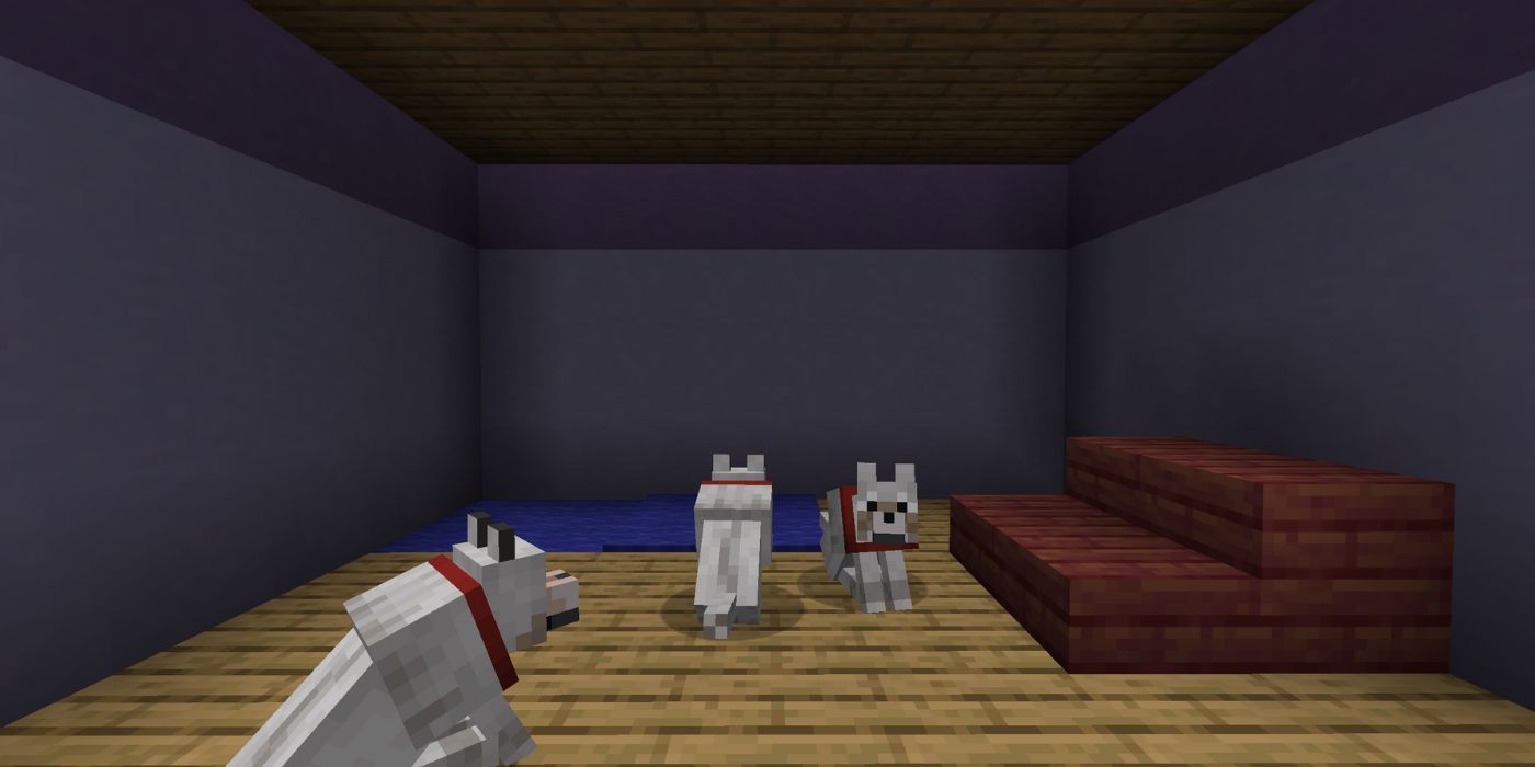 Minecraft Pet Room