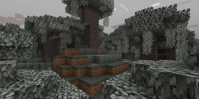 Minecraft: Wood Variant Locations