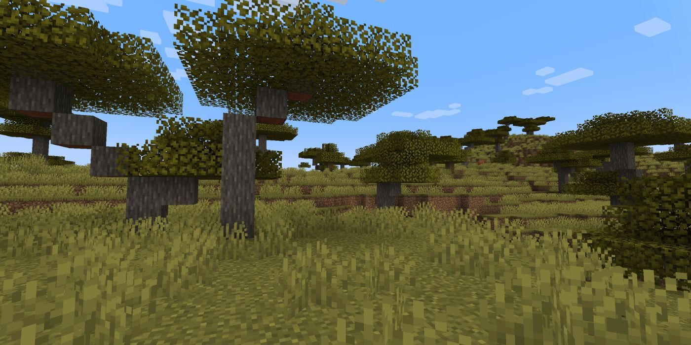Acacia Tree Minecraft