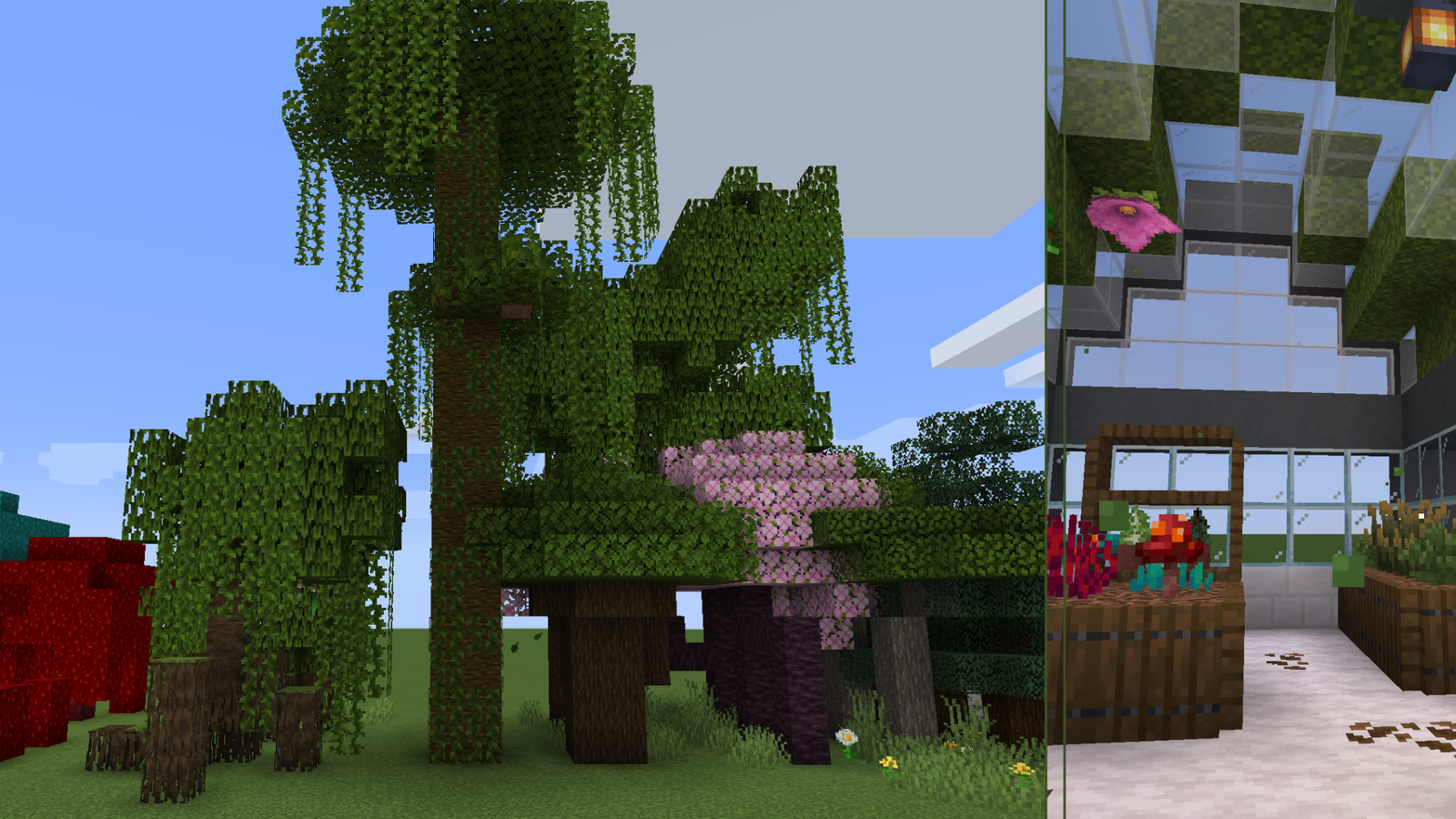 Minecraft: Wood Variant Locations