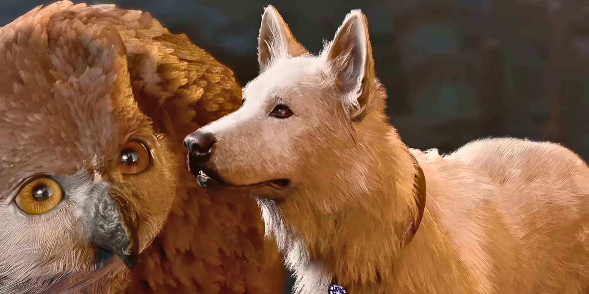 What are the Best Mods for Baldur's Gate 3