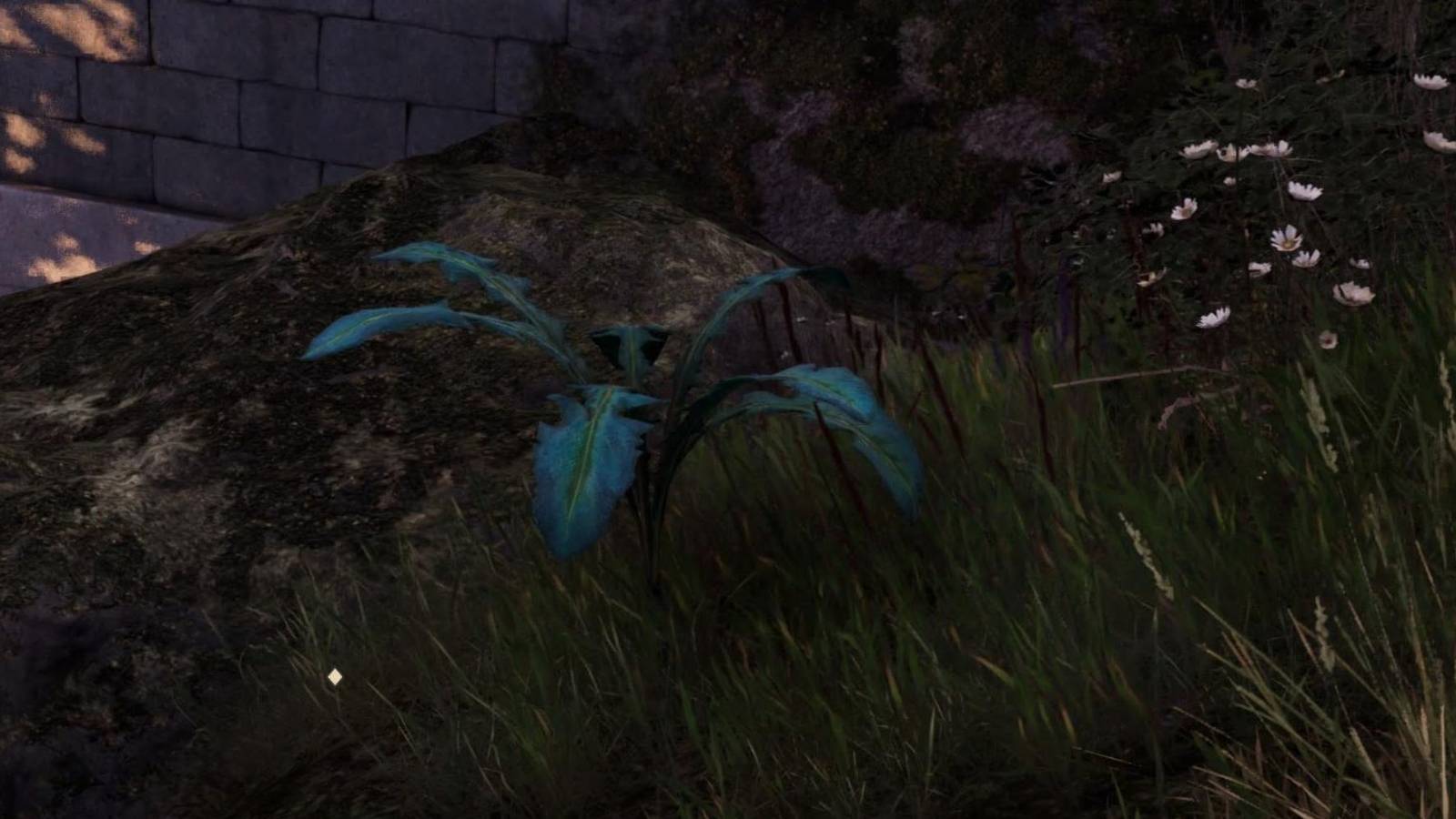 Nirnroot Location in Oblivion Remastered