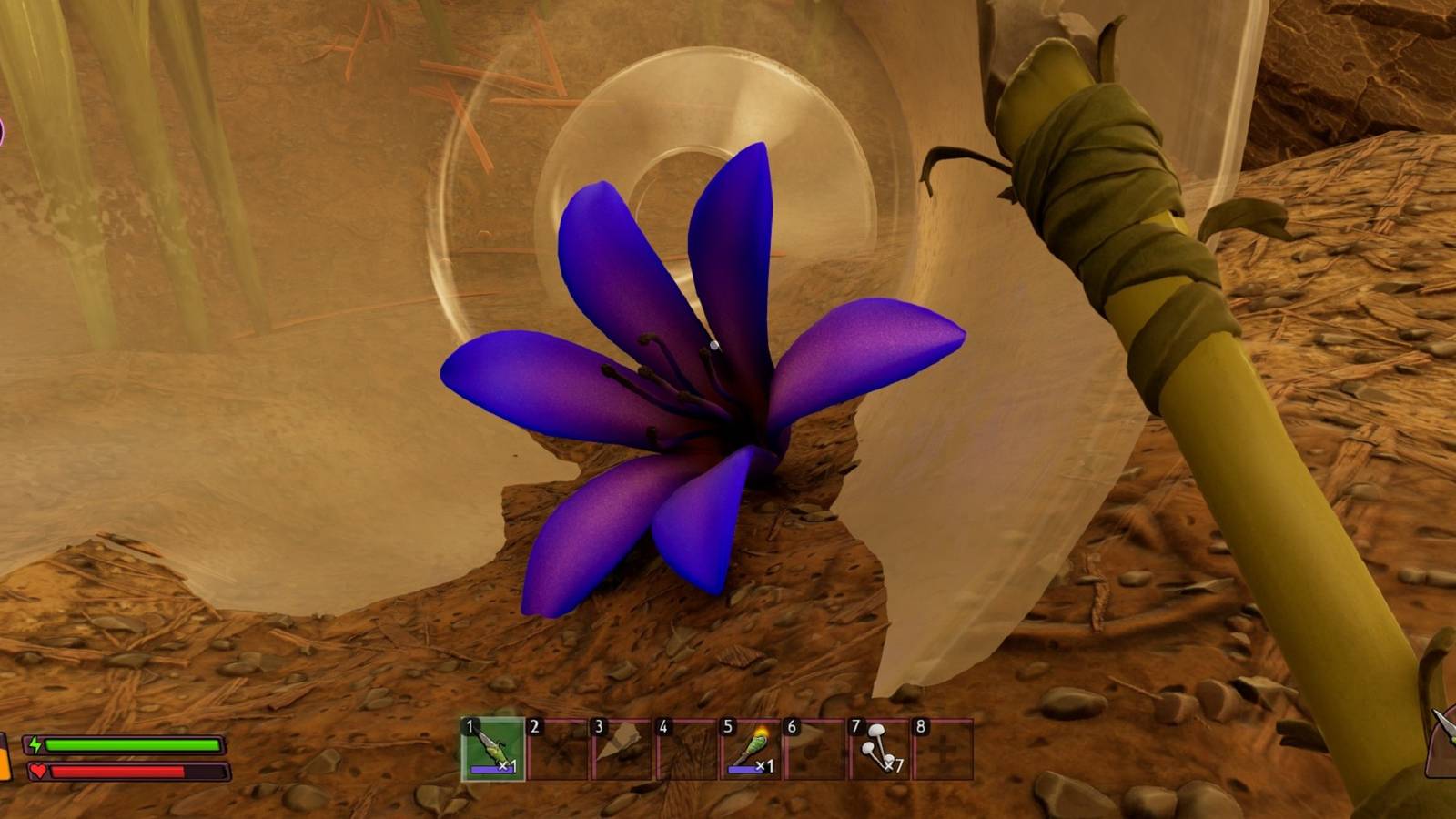 Where to Find Flower Petals in Grounded 2