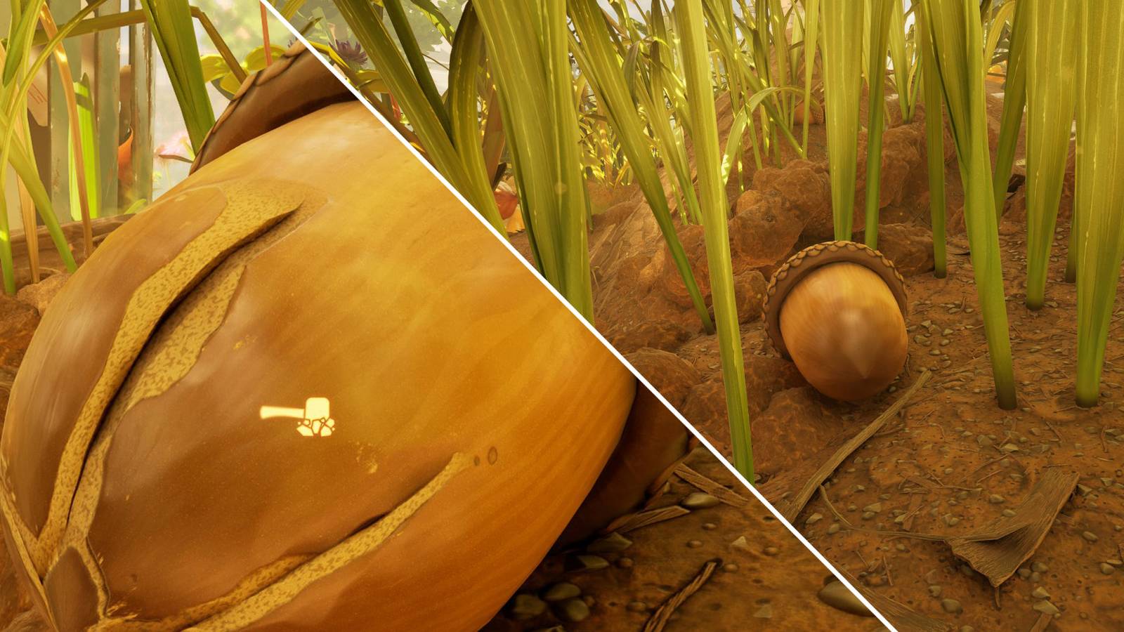 Acorn Locations in Grounded 2