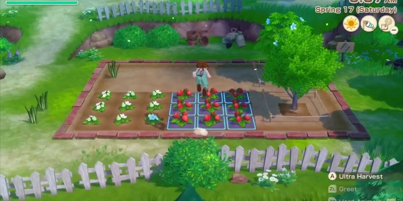 Unlock the Secrets of Story of Seasons: Grand Bazaar - Essential Tips ...