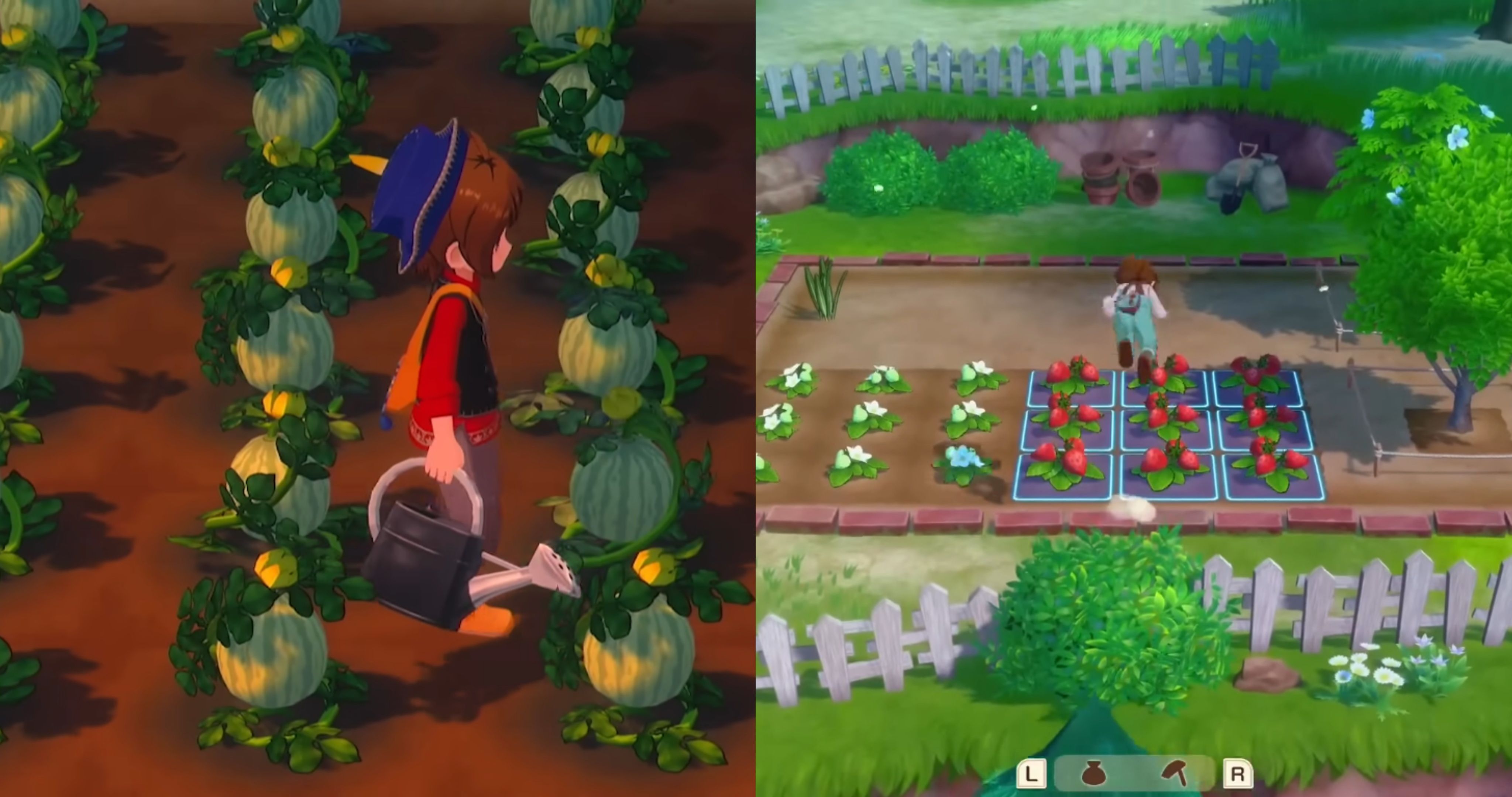 Unlocking Friendship: A Comprehensive Guide to Befriending Linus in ...