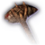 All Bludgeoning Weapons In Baldur's Gate 3