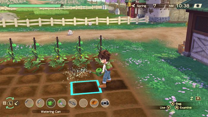 Story of Seasons: A Wonderful Life | All Hybrid Crops and Rare Hybrids