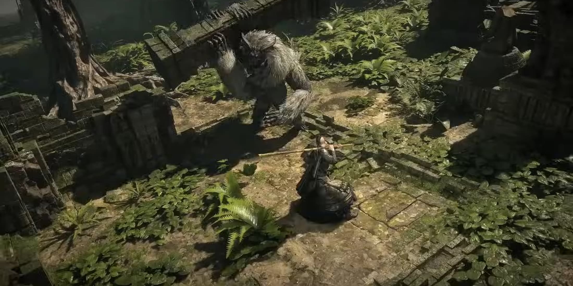 How to Defeat Count Geonor, The Putrid Wolf in Path of Exile 2