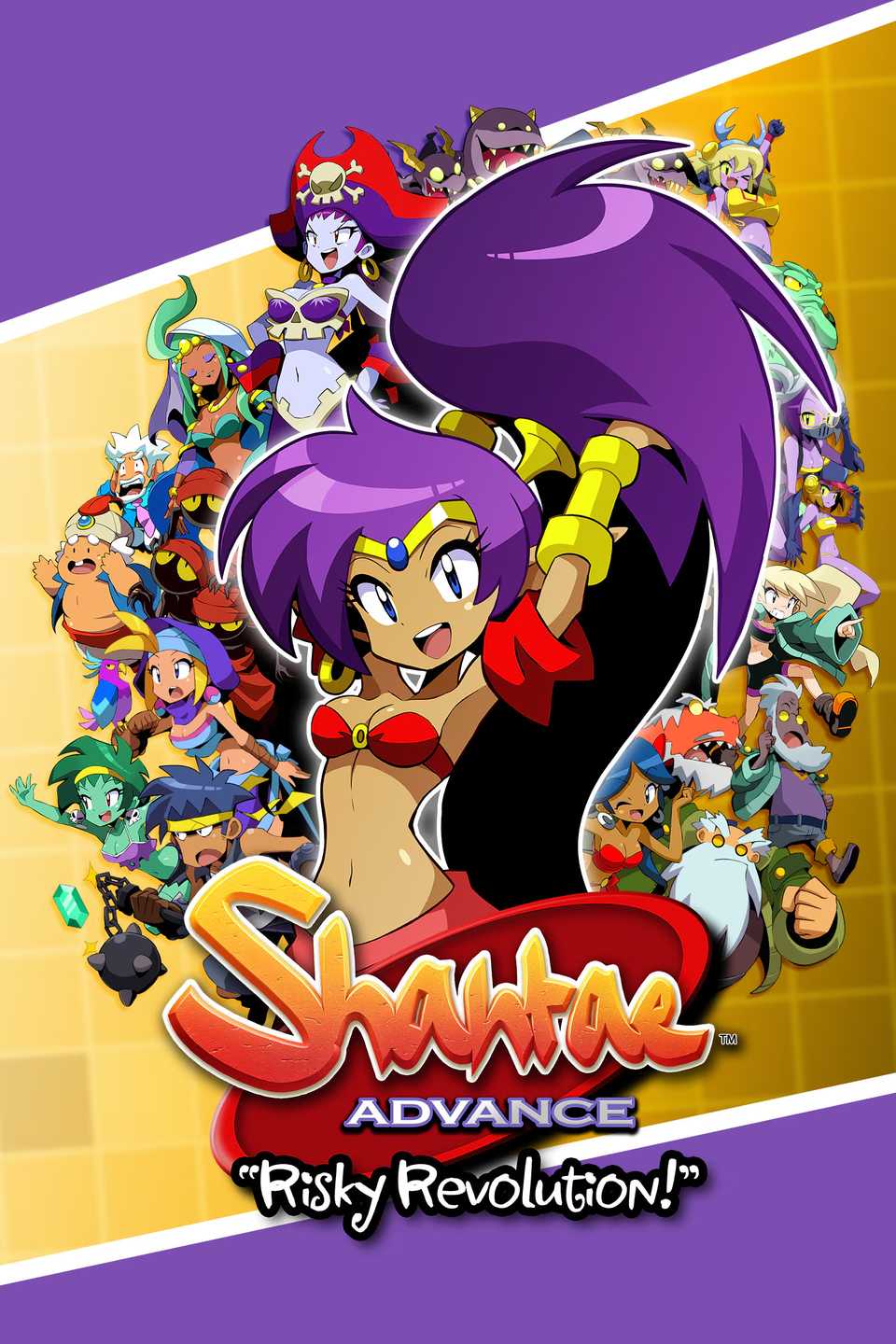 Better Late Than Never, Twenty Years Later Shantae Advance: Risky Revolution Gets Its Release ...